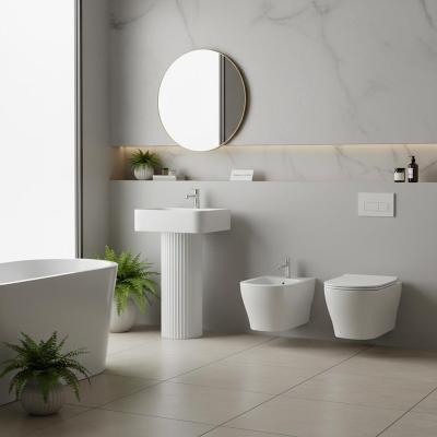 China Ceramic Sanitary Ware with Automatic Deodorization 304 Stainless Steel Bracket and Glossy Finish for Modern Bathrooms for sale