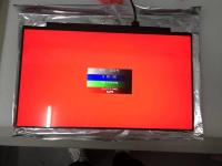 China LG 17.3 Inch PC LCD Module with 1920x1080 Pixels and 300cd/m2 Brightness TFT-LCD Display Panel for sale