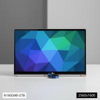 China Innolux 16inch LCD Screen N160GME-GTB with 2560x1600 Pixels 500cd/m2 Brightness and 40PIN Connector for sale