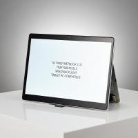 China 10.1 inch LCD Display with 1024*600 Resolution WLED Backlight and 40PIN IPS for Tablet PC for sale