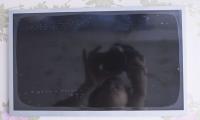 China High Brightness 400CCD/M2 LCD Monitor with 1920*1080 Resolution and 31.5 Inch Size for sale