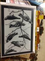 China 9.7 inch E Ink Display with Anti Glare Hard Coating and 1200x825 Resolution for Ebook Readers for sale