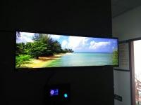 China Samsung 29 Inch Stretched LCD Monitor with 1920*540 Pixels 500cd/m2 Brightness and 51 Pin Connector for sale
