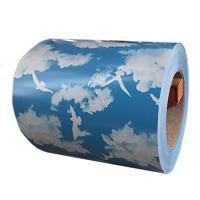 China Red RAL 600mm PPGI Coil MTC Prepainted Galvanized Steel Coil for sale