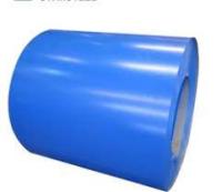 China ASTM 0.6mm Ppgi Galvanized Steel Coil Ral 5016 Prepainted Gi Color Coat for sale