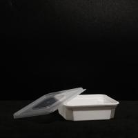 China Custom BPA-Free PP Food Container Box 260ml Capacity 108x90x33mm with Snap-On Lid for sale
