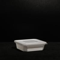 China Custom Disposable PP Lunch Box 260ml with Snap-On Lid for Hot and Cold Food Packaging for sale