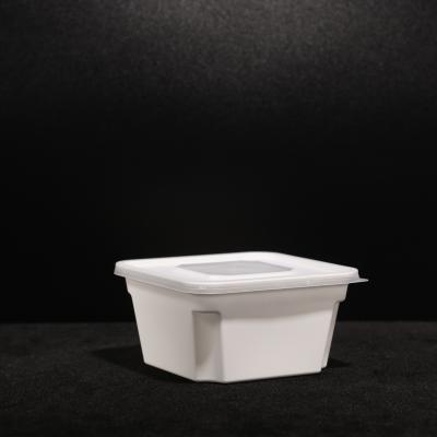 China PP Plastic Lunch Box 450ml Disposable Snap On Lid Custom Printing BPA Free for sale