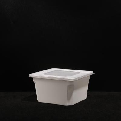 China PP Disposable Lunch Box 1000ml 136x111x76mm Custom Packaging 400pcs for sale