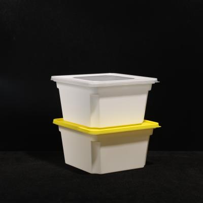 China Rectangular Food Safe PP Lunch Box 1000ml Multi Purpose For Hot And Cold Food for sale