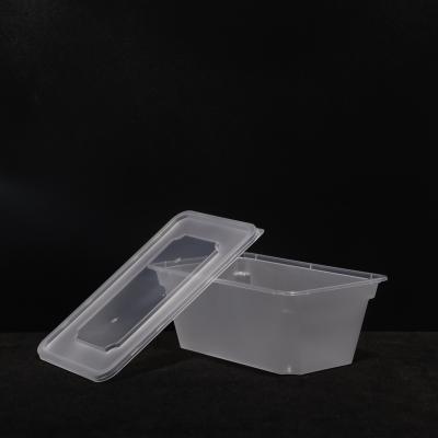 China 1000ml BPA-Free PP Lunch Box | Stackable Disposable Food Container with Leak-Proof Lid for sale