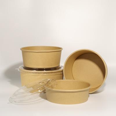 China 1000ml Cardboard Paper Packaging Box - Eco-Friendly Takeaway Containers with CMYK/Pantone Printing for sale
