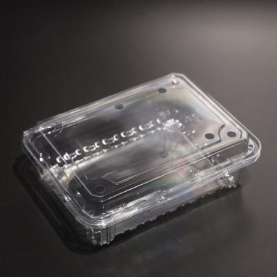 China FAD Certified Clear Plastic Food Container 170x135x50mm | 21g Disposable Storage Box with Leak-Proof Design for sale