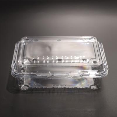 China Clear PET Plastic Food Storage Containers with Lids - 170×135×50mm Size, 300ml Capacity, Food-Grade Material for sale