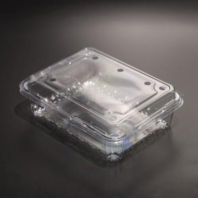 China Customizable PET Plastic Food Container 170x135x50mm | 21g Disposable Eco-Friendly Packaging for Vegetables & Takeaway for sale