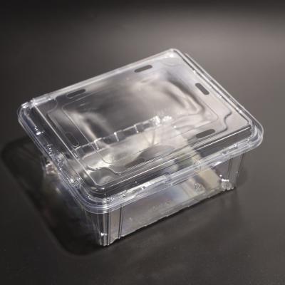 China Clear Disposable PET Plastic Food Containers 1000ml Capacity with Lid - BPA Free, Leak-Proof Design for sale