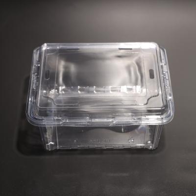 China 190×155×80mm PET Plastic Food Storage Containers - Freezer & Microwave Safe, Leak-Proof Design with SGS/FDA/ISO9001 Certification for sale