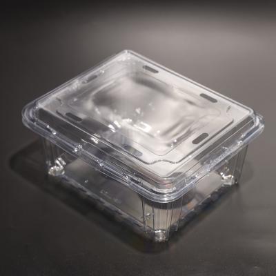 China Rectangular PET Food Container 190×155×80mm | Leak-Proof Disposable Plastic Packaging with OEM Options for sale
