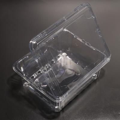 China PET Clear Plastic Food Container 190×155×80mm | Leak-Proof & Microwave Safe | OEM Available for sale
