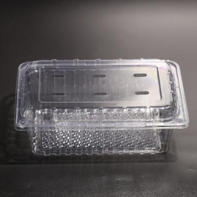 China Rectangular Disposable PET Food Container 55g with Lid - SGS/FDA Certified Leak-Proof Packaging for sale