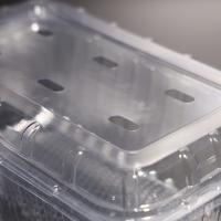 China Rectangular Disposable PET Food Container 55g with Lid - SGS/FDA Certified Leak-Proof Packaging for sale