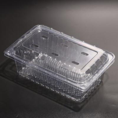 China Customizable Clear PET Plastic Food Container 240×155×88mm | 55g Disposable Storage Box with SGS/FDA Certification for sale