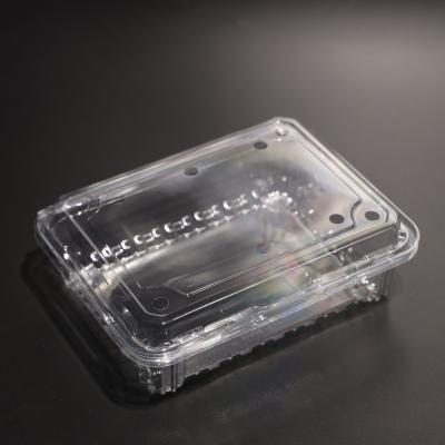 China PET Transparent Disposable Plastic Food Containers Engineered for Versatile in Catering Events and Food Delivery Services for sale