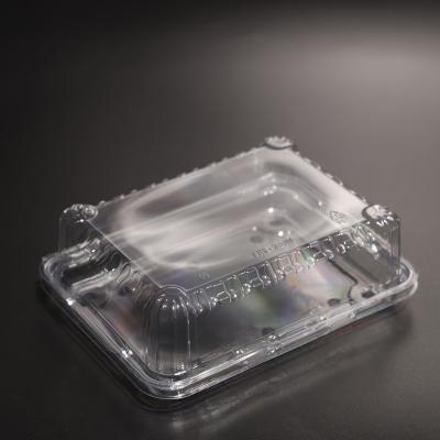 China Food Storage Plastic Food Container Customized To Your Design Varies By Size Ideal For Restaurants And Catering Services for sale