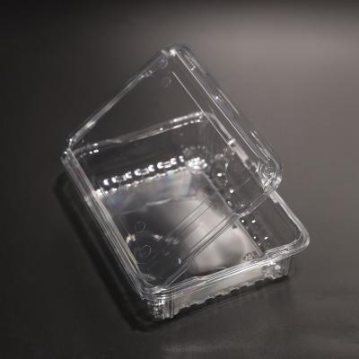 China Stackable Plastic Food Container Top Level One Body Lidtype Perfect for Organized Food Storage and Transport in Catering for sale