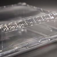 China Vegetable Disposable Food Containers Top Level Biodegradable Packaging Ideal for Food Trucks Cafes and Catering Services for sale