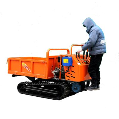 China HOT SALE of hotels 1.2 TON GARDEN USE RUBBER TRACK LADDER 1 TON 2 TON 4 TON MINI CRAWLER LOADER FOR SALE for sale