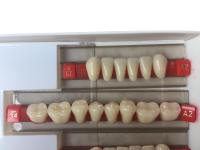 China Acrylic Resin Denture Teeth Set Repair Surfaces 2 Layers Super Hard Synthetic Dental Teeth for sale