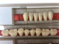 China Acrylic Resin Denture Teeth Set Repair Surfaces 2 Layers Super Hard Synthetic Dental Teeth for sale