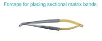China Dental Sectional Matrix System A2 Bands Clamp Ring Resin Holder Clip Ring for sale
