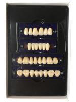 China Dental Synthetic Resin Teeth Materials Multi Layers Composite False Teeth HSS3 HC3 M32 for sale