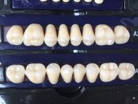 China Dental Synthetic Resin Teeth Materials Multi Layers Composite False Teeth HSS3 HC3 M32 for sale