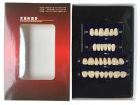 China Dental Synthetic Resin Teeth Materials Multi Layers Composite False Teeth HSS3 HC3 M32 for sale