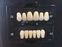 China Plastic Polymer Dental Acrylic Resin Teeth A1 A3 2 Layers Dental Composite Resin for sale