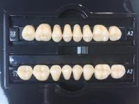 China Plastic Polymer Dental Acrylic Resin Teeth A1 A3 2 Layers Dental Composite Resin for sale