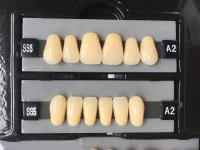 China Clear Dental Acrylic Resin Kit Teeth Synthetic 2 Layers Dent Resin Teeth for sale