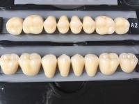 China Clear Dental Acrylic Resin Kit Teeth Synthetic 2 Layers Dent Resin Teeth for sale