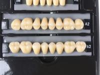 China Clear Dental Acrylic Resin Kit Teeth Synthetic 2 Layers Dent Resin Teeth for sale