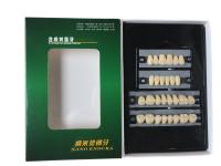 China Clear Dental Acrylic Resin Kit Teeth Synthetic 2 Layers Dent Resin Teeth for sale