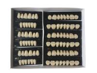 China Whitening Composite Resin Teeth For Denture Kit Super Hard 2 Layers for sale