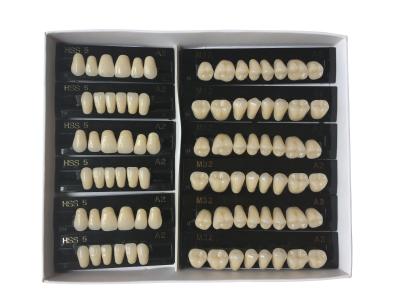 China Whitening Composite Resin Teeth For Denture Kit Super Hard 2 Layers for sale