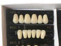 China Whitening Composite Resin Teeth For Denture Kit Super Hard 2 Layers for sale