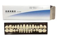 China Material Dental Acrylic Resin Teeth Tooth Colored Acrylic Resin Teeth For Dentures for sale