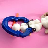 China ZT Dental Sectional Matrix System Bands F3 Autoclavable M4 2pcs Clip Ring for sale