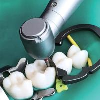 China Dental Sectional Matrix System Wedge Guards M3 for sale