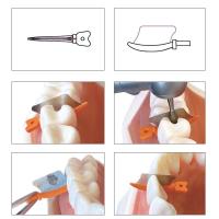 China Dental Sectional Matrix System Wedge Guards M3 3.0 for sale